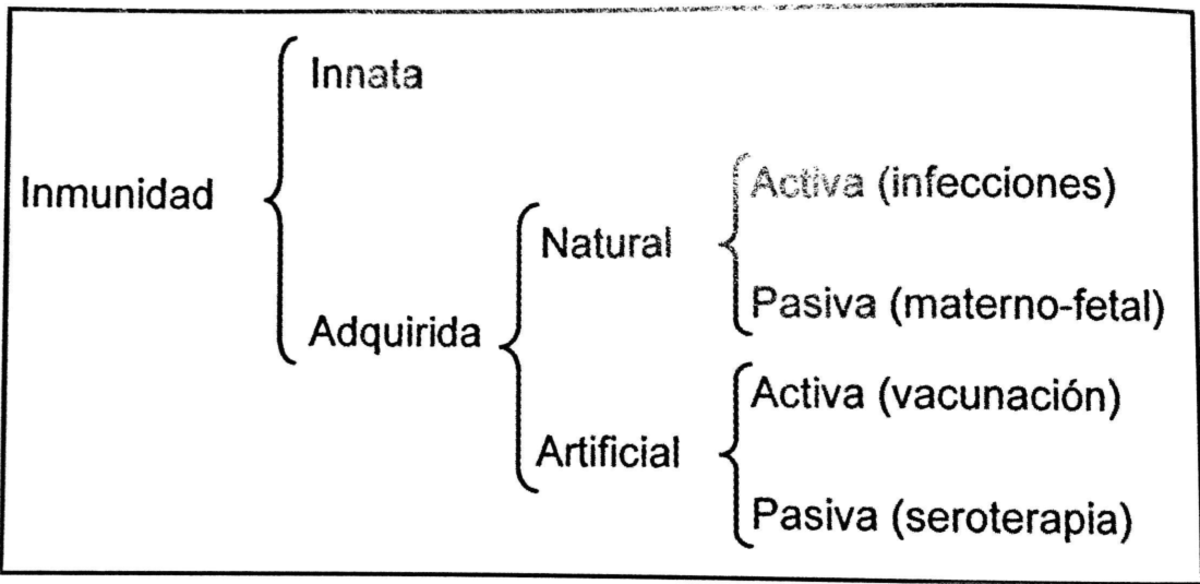 Tipos de Inmunidad: Activa, Pasiva y Diferencias Esenciales - Studocu