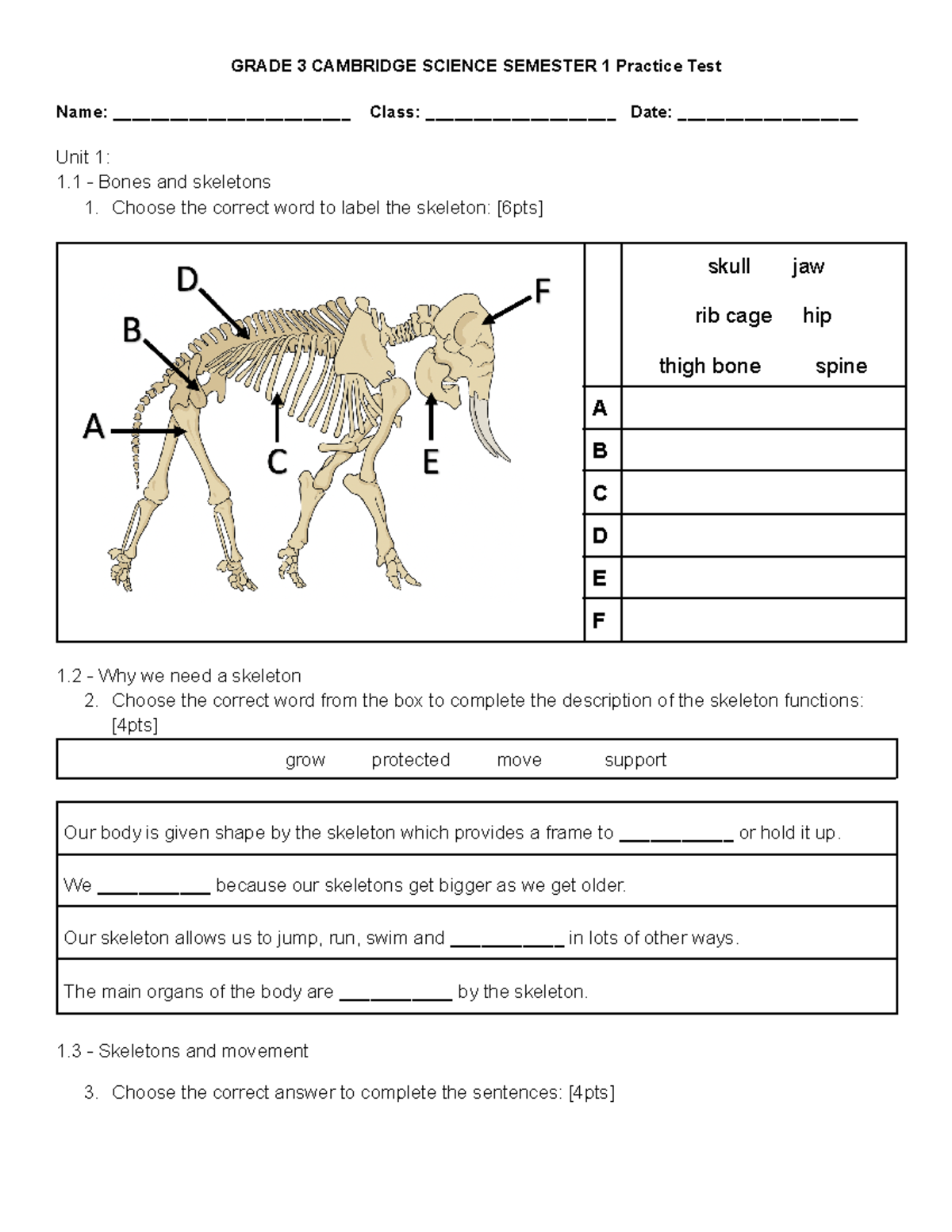 Grade 3 Science S1 - Skeletons and Materials Practice Test - Studocu