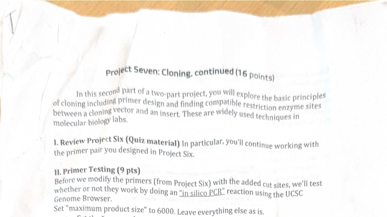 Project 7: Cloning Techniques & Primer Testing (16 pts) - Studocu