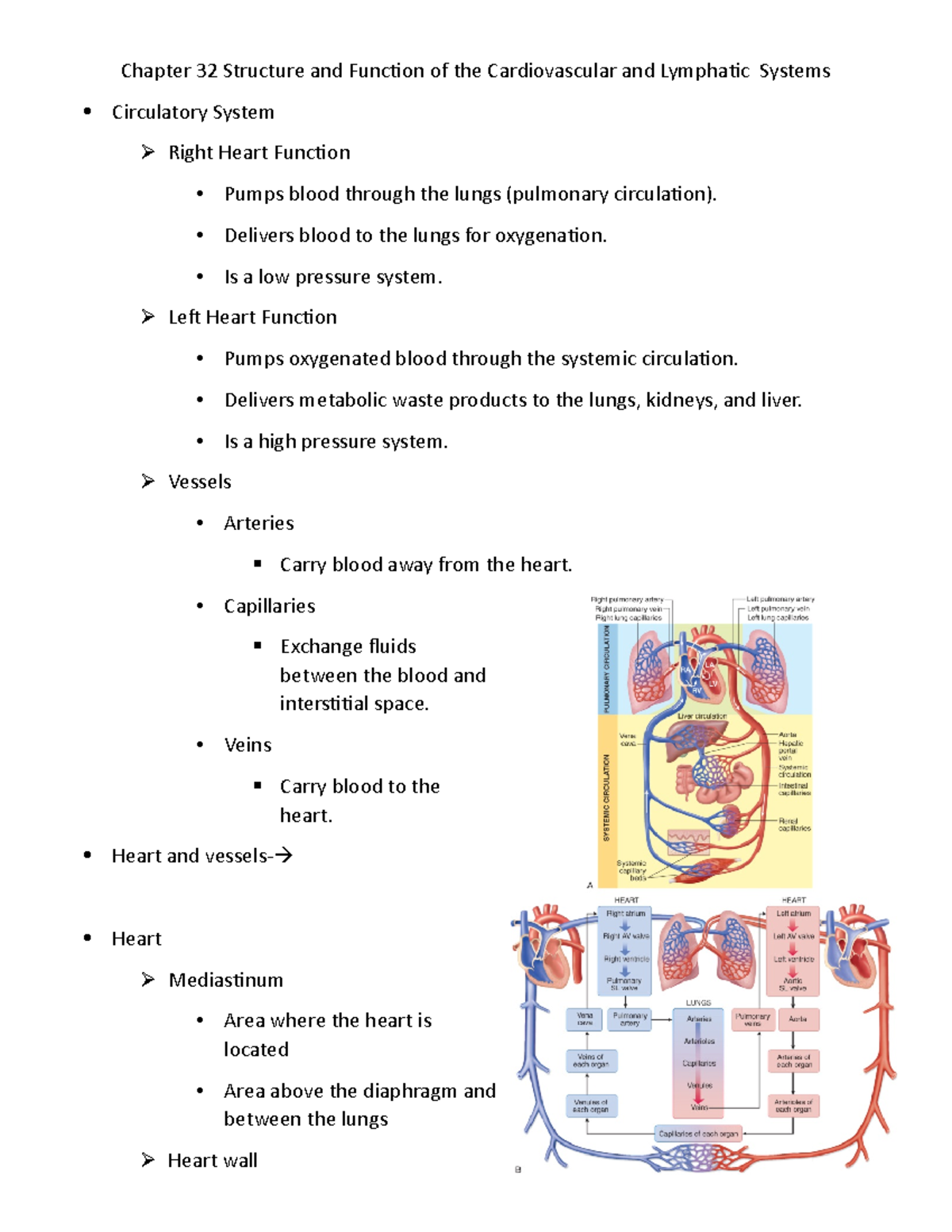 Chapter 32: Cardiovascular & Lymphatic Systems - Structure & Function ...