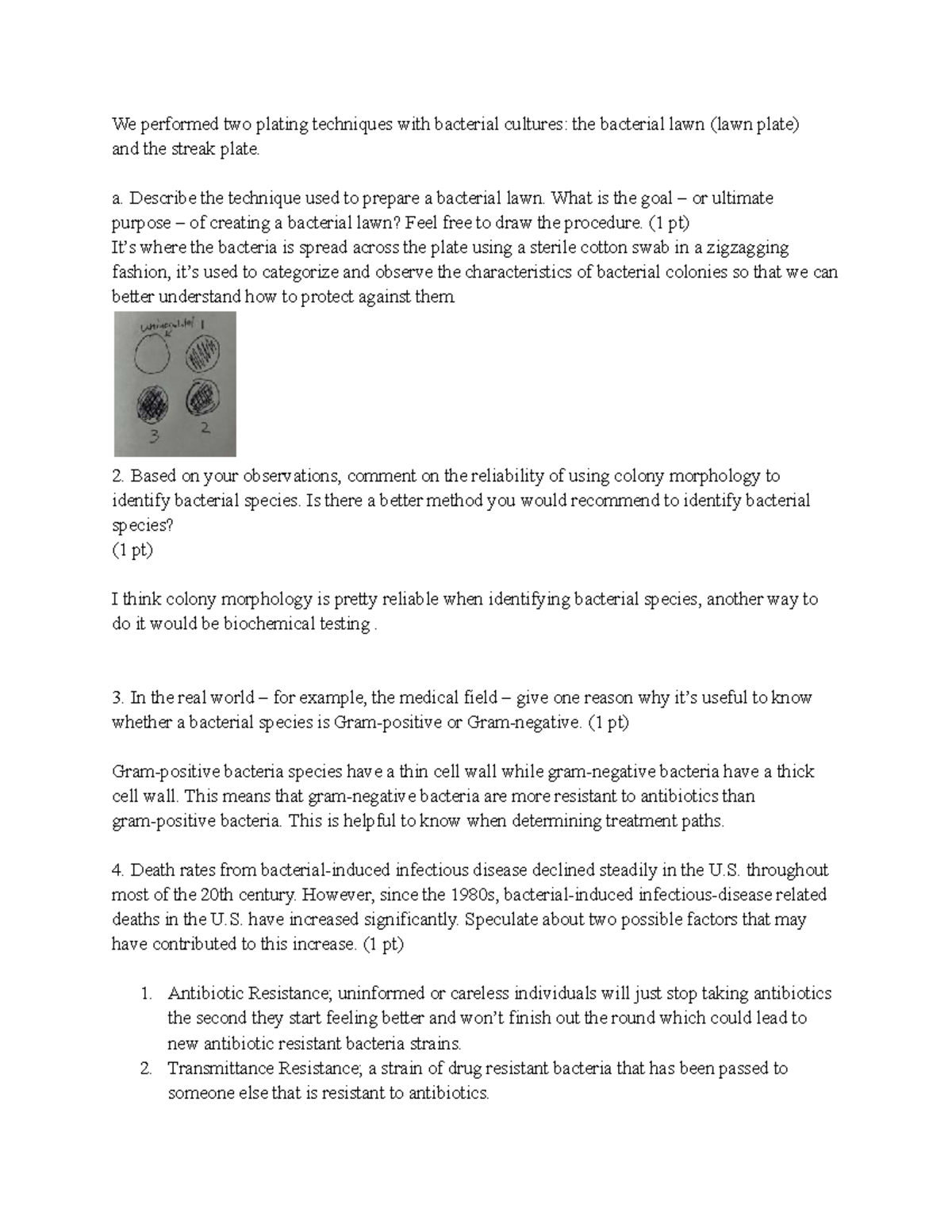 Bio 211 Lab 1: Bacterial Plating Techniques & Identification Insights ...