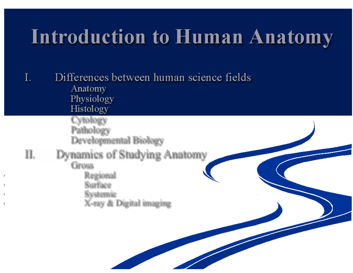 Introduction to Human Anatomy I: Key Concepts and Terminology - Studocu