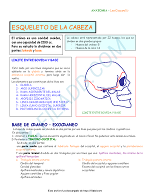 8. FOSA Axilar - APUNTES DE ANATOMI - Fosa Axilar Generalidades: Región ...