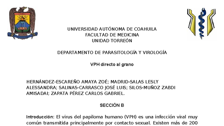 VPH Directo al Grano: Guía Completa sobre el Virus del Papiloma Humano ...