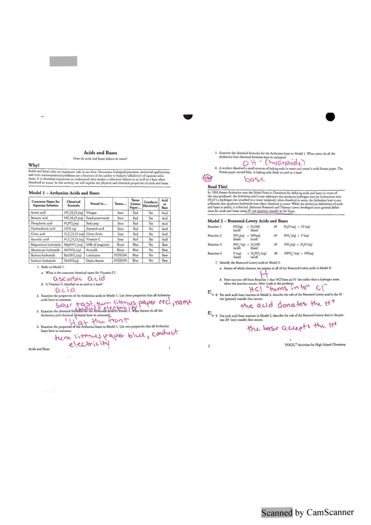 Kami Export POGIL Answer Key: Acids and Bases Overview - Studocu