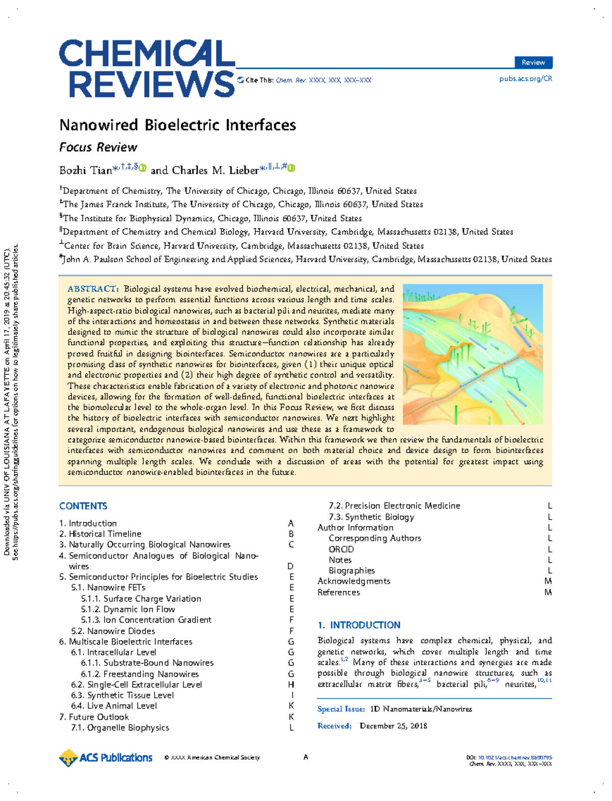 Nanowired Bioelectric Interfaces: A Focus Review on Semiconductor ...