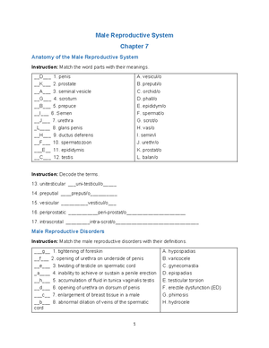AHP106 Wk2 DONE - Worksheet - Integumentary System Matching: Skin ...