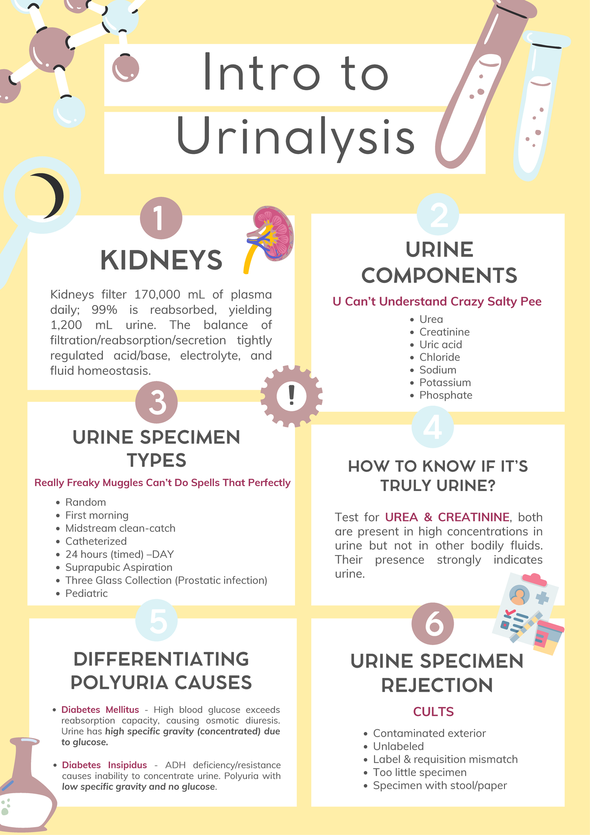 Intro to Urinalysis - KIDNEYS & URINE COMPONENTS Overview - Studocu