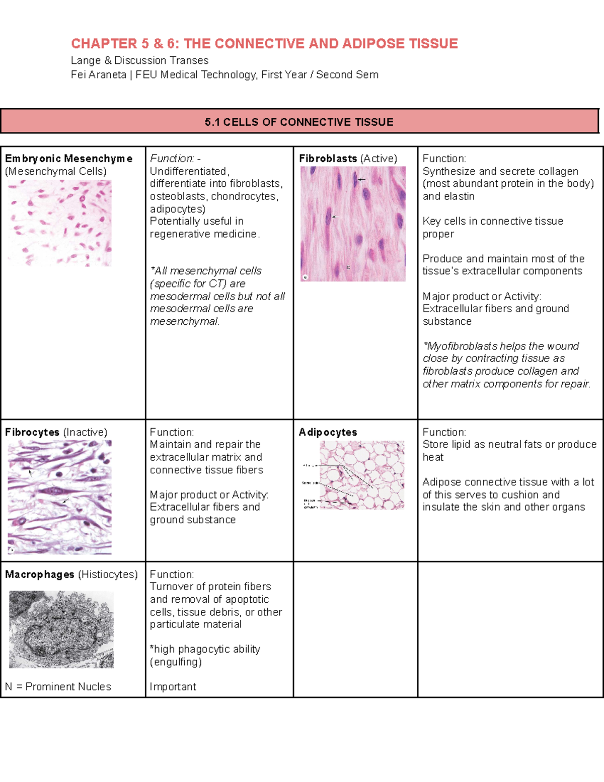 Histology LAB Notes: Connective Tissue & Fibers (Chapters 5 & 6) - Studocu