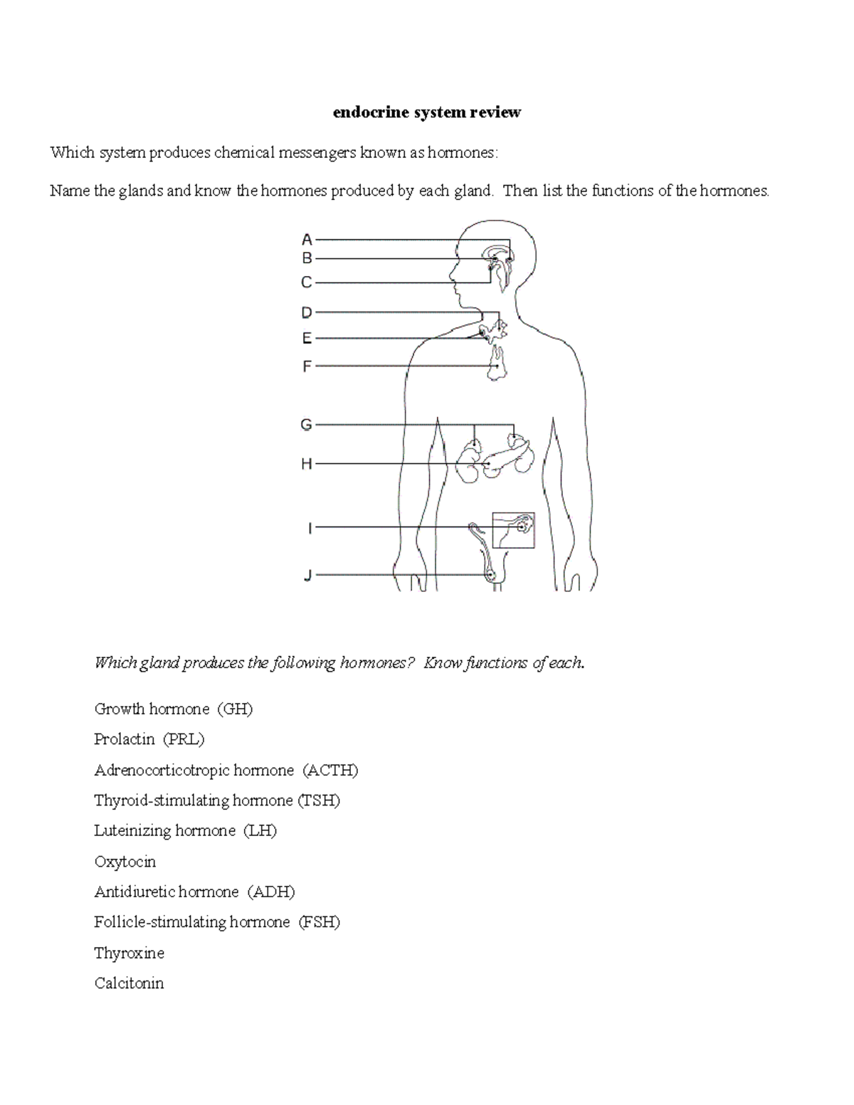 Endocrine System Review Notes for BIO101 Course - endocrine system ...