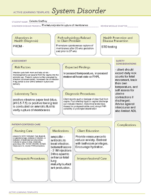 Uterine Rupture System Disorder 1 - ACTIVE LEARNING TEMPLATES ...
