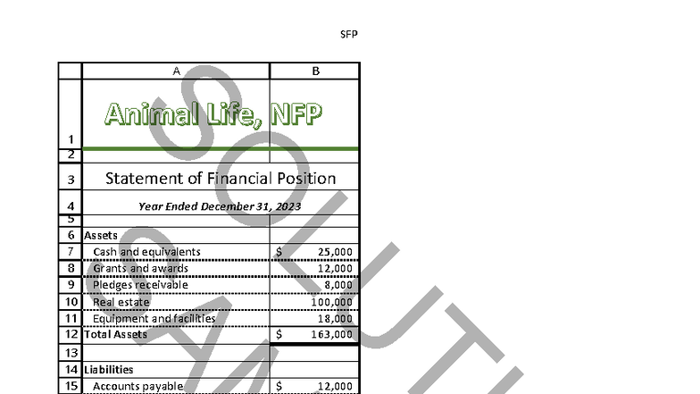 EX2021 Advanced Project 7: Statement of Financial Position Analysis ...
