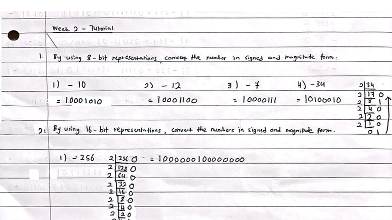 WEEK 2 Tutorial: Number Representations in Signed & Magnitude Form ...