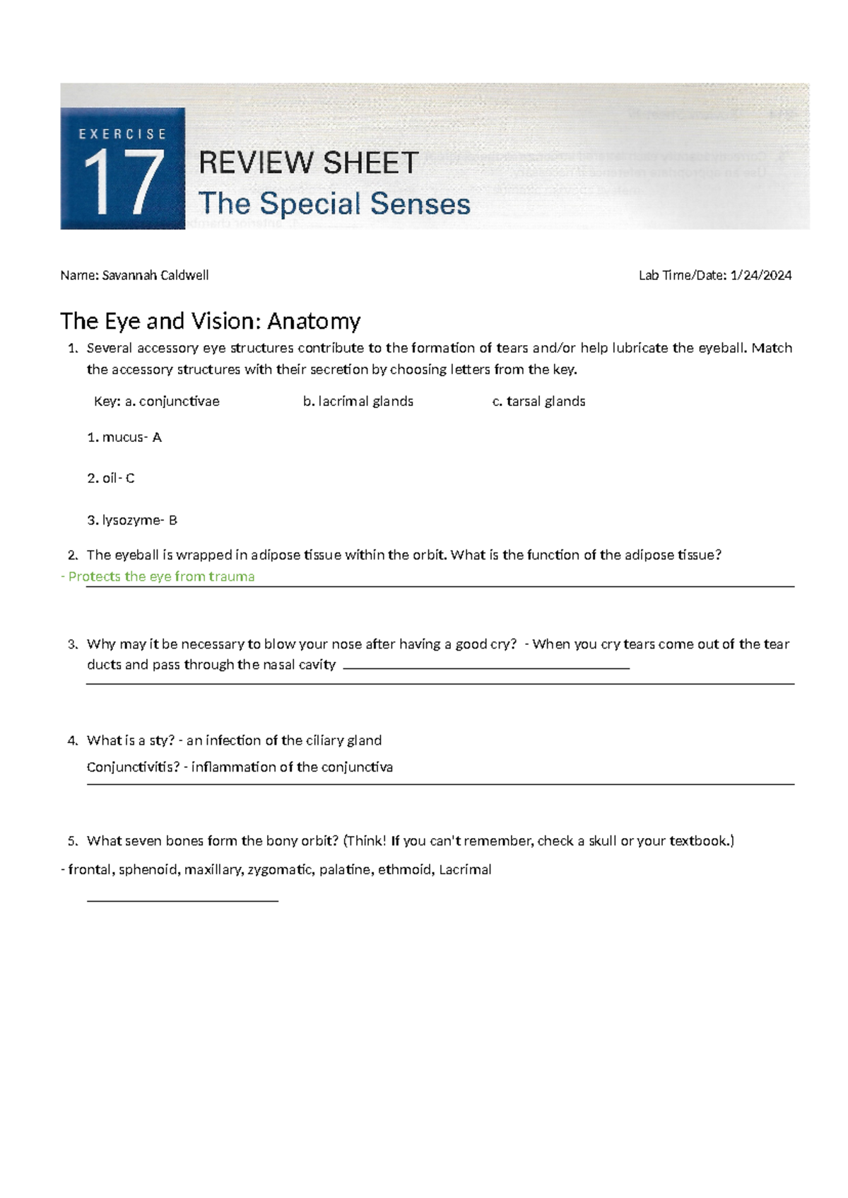 Exercise 17B - Review Sheet on Eye and Ear Anatomy - Studocu