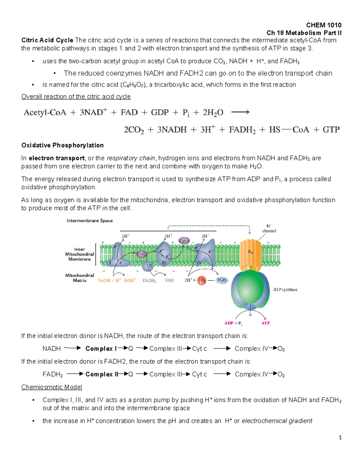 CHEM 1010 Ch 18 Metabolism II: Citric Acid Cycle & Oxidative ...
