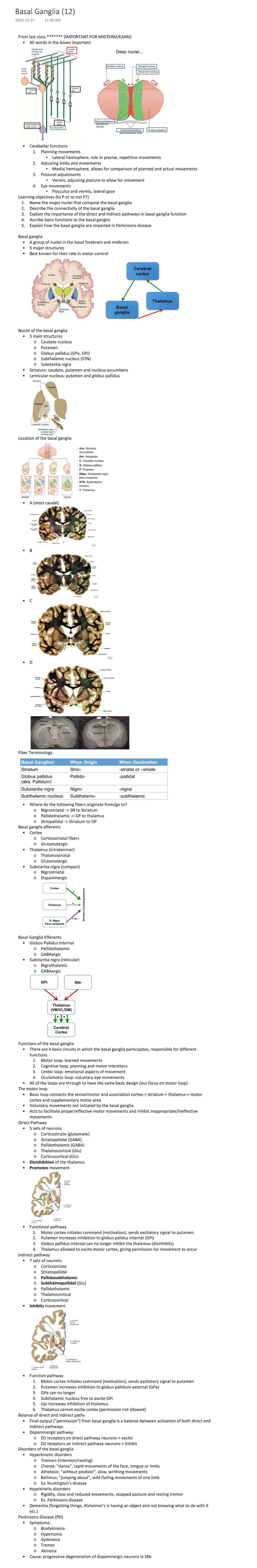 12. Basal Ganglia Overview and Functions: Key Concepts and Pathways ...
