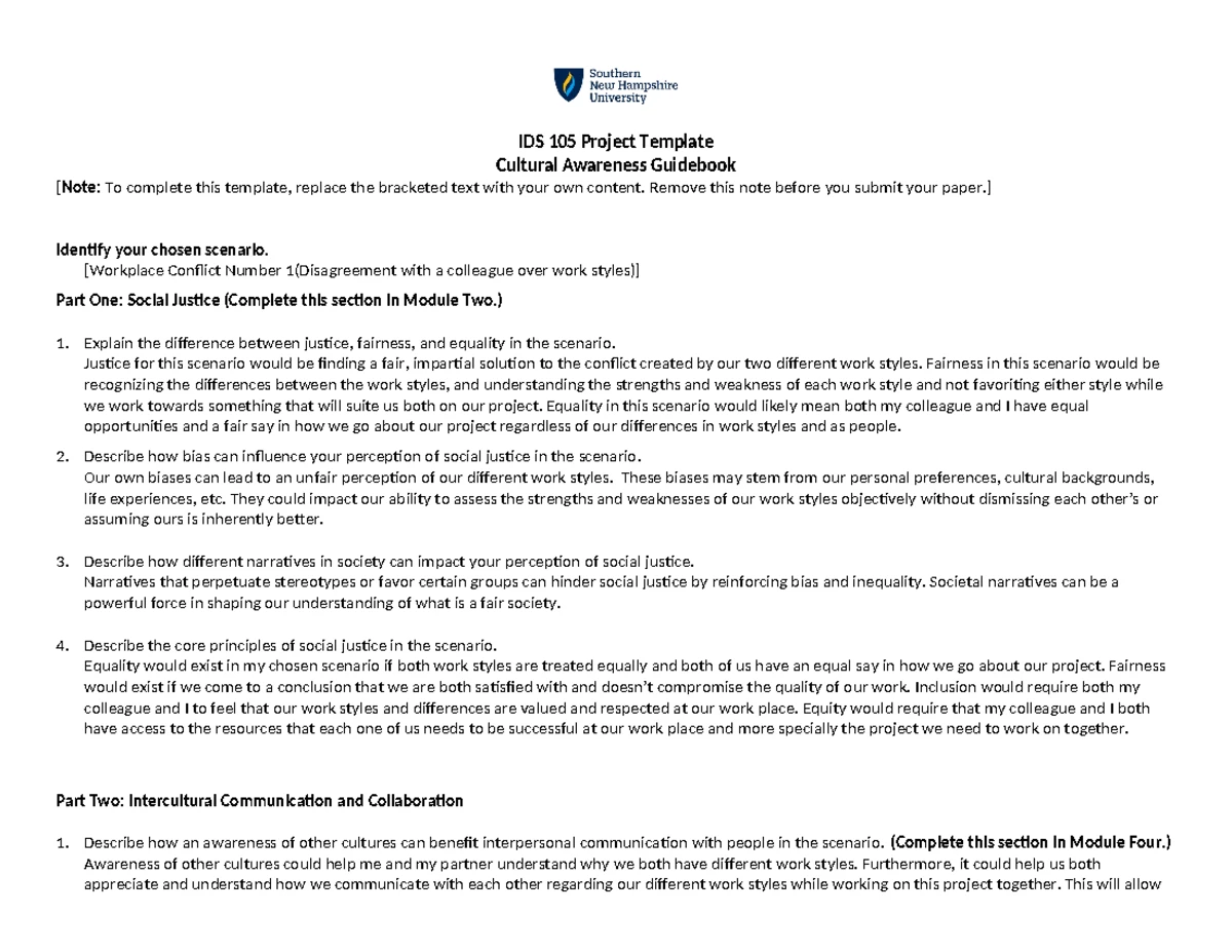 IDS 105 Project Template: Cultural Awareness & Social Justice Guide ...