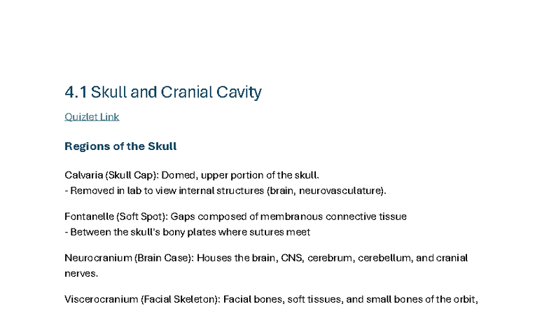 Human Anatomy Study Guide Unit 4: Skull, Brain, and Cranial Nerves ...