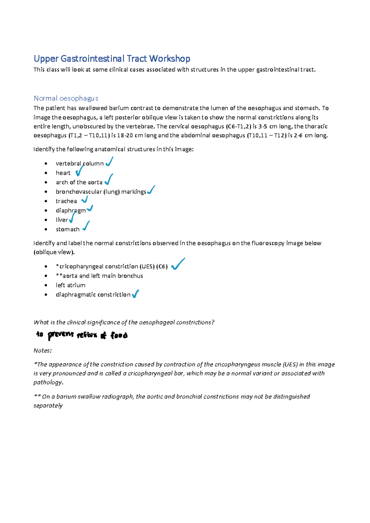 ANAT3007 Upper GI Tract Workshop: Clinical Cases & Imaging Insights ...