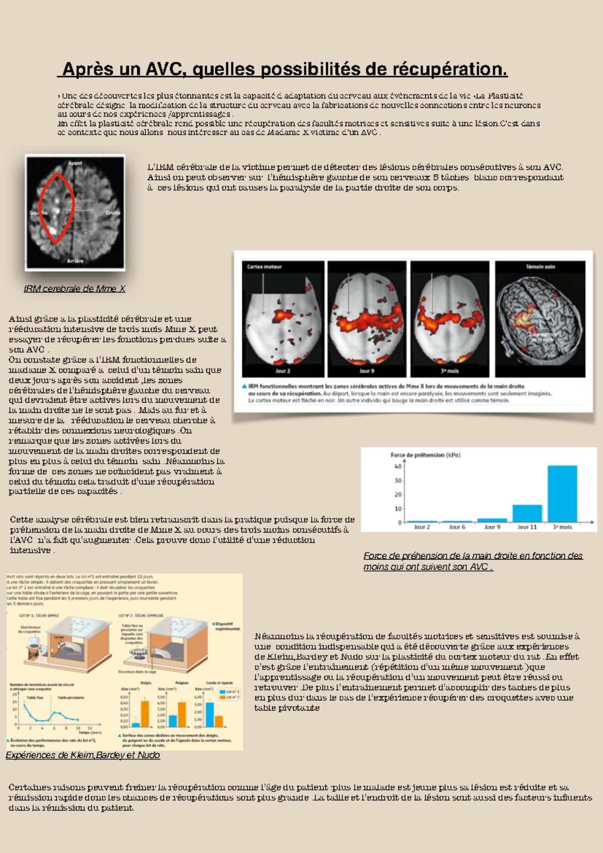 Cours de Géo : Les Métropoles et leurs Fonctions de Commandement - Studocu