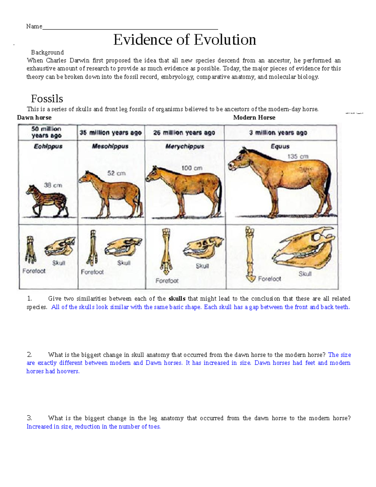 Evidence of Evolution Study Notes - 3996968 - Studocu