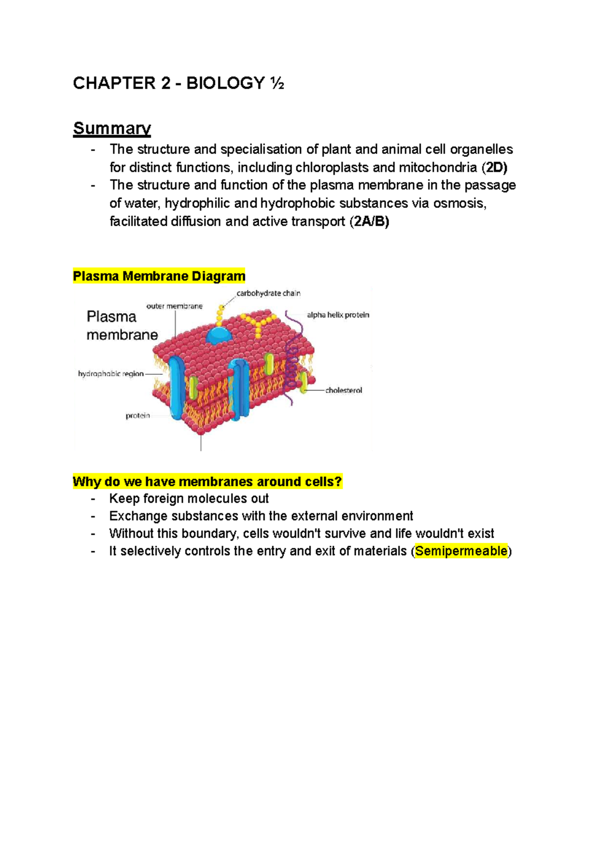 CHP2BIO - Summary of Chapter 2: Cell Structure & Function in Biology ...