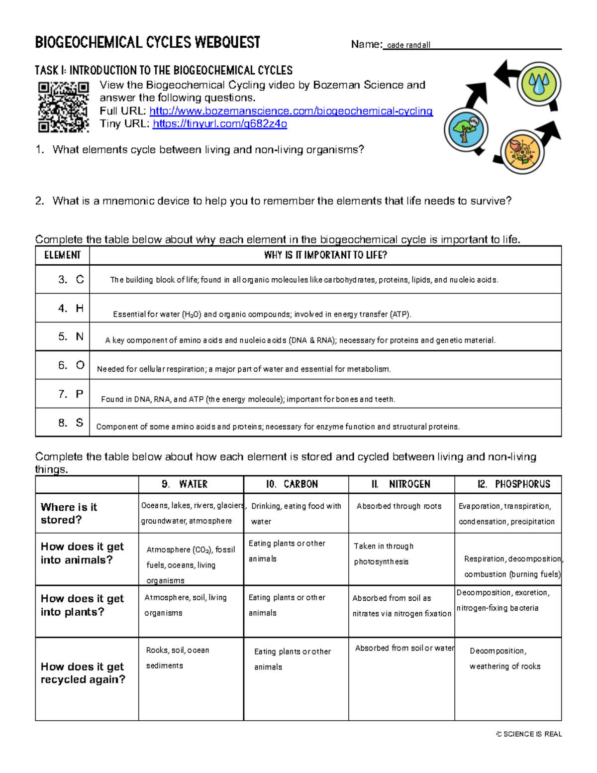 Cade Randall - Biogeochemical Cycles webquest - BIOGEOCHEMICAL CYCLES ...