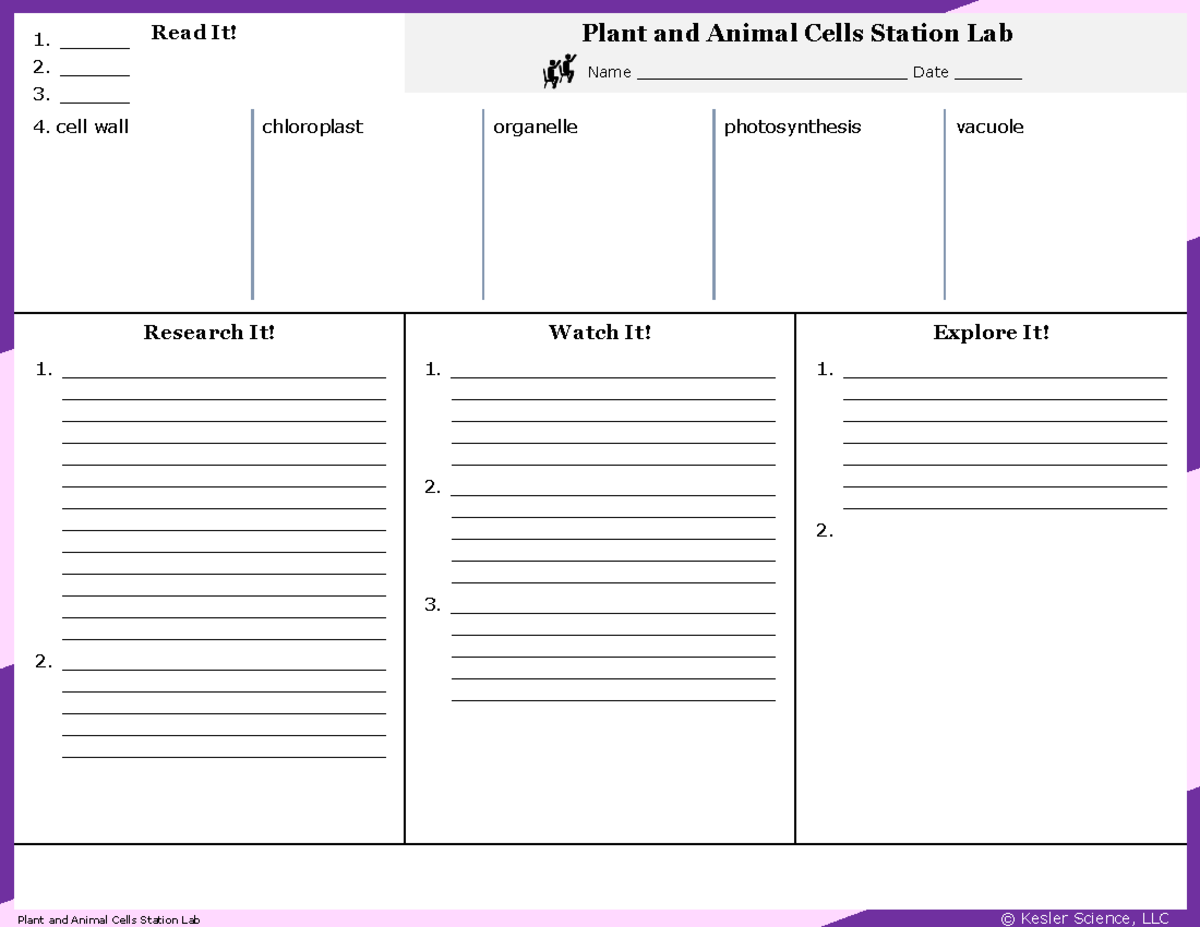Plant and animal cell stations answer sheet - Plant and Animal Cells ...