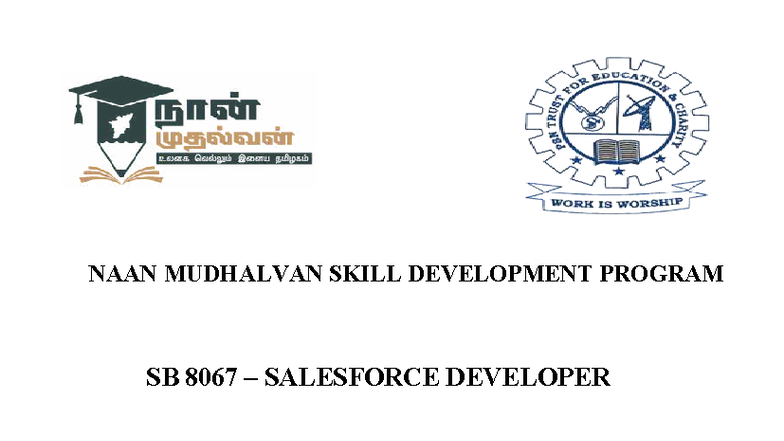 SB 8067 Garage Management System: Salesforce Developer Training Report ...