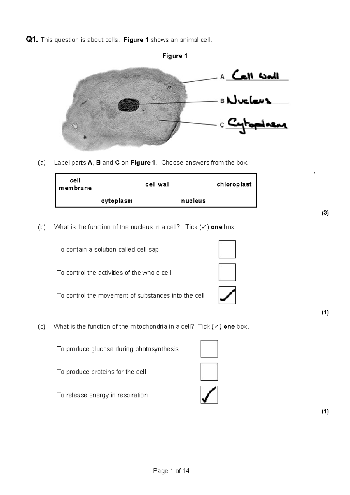 Biology Exam Questions & Practical Requirements (Bio 101) - Studocu