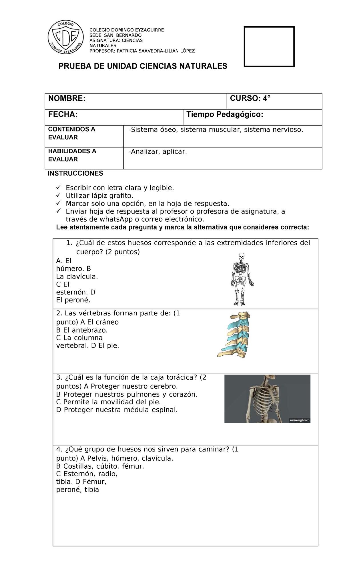Prueba de Unidad: Ciencias Naturales 4º - Sistema Esquelético y ...