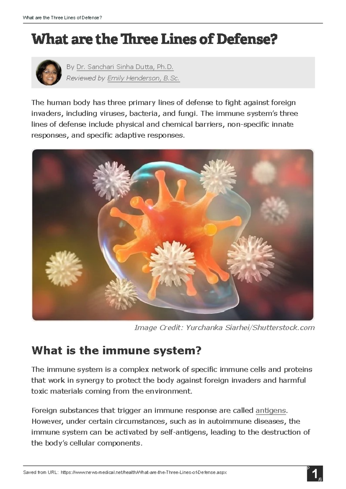 Three Lines of Defense in the Immune System: An Overview - Studocu
