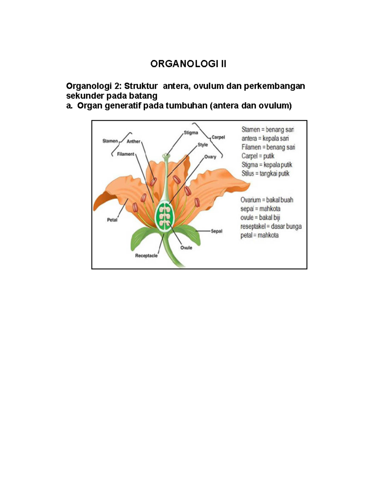 Laporan Praktikum Organologi II: Struktur Antera dan Ovulum - Studocu