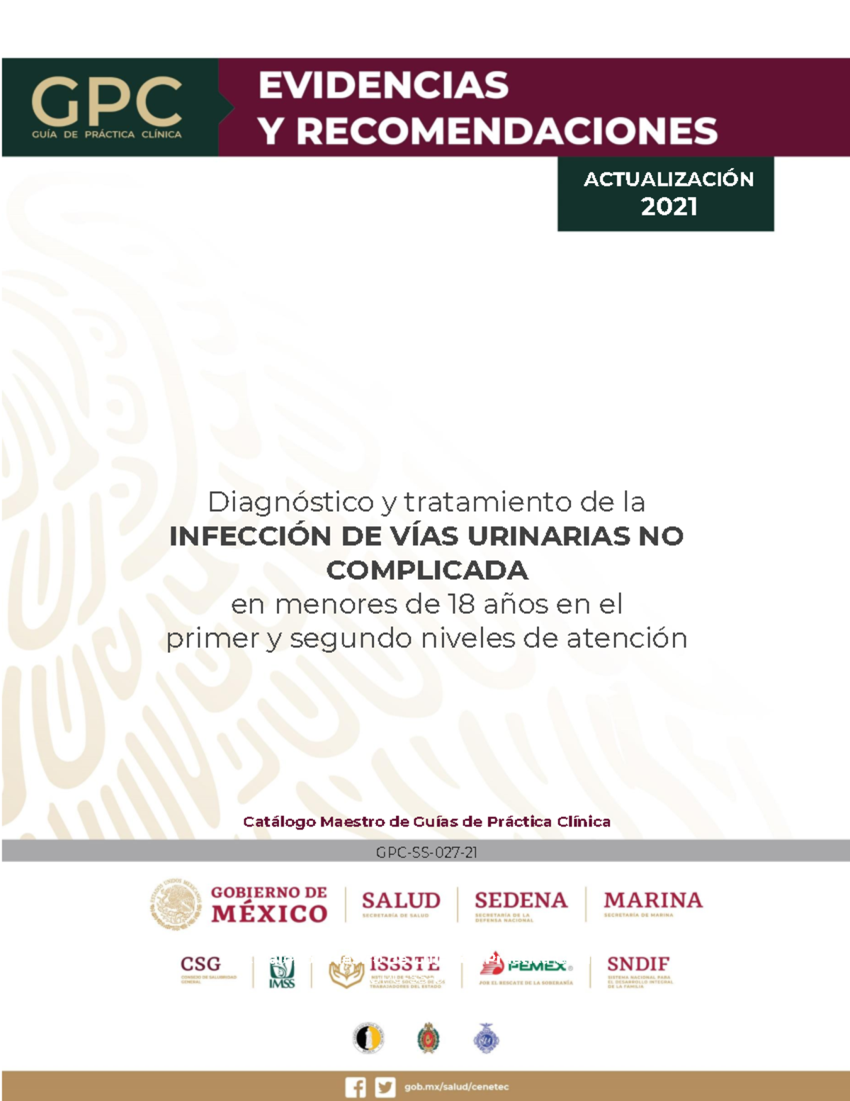 Guía de Práctica Clínica GPC-SS-027-2021: Infección de Vías Urinarias ...