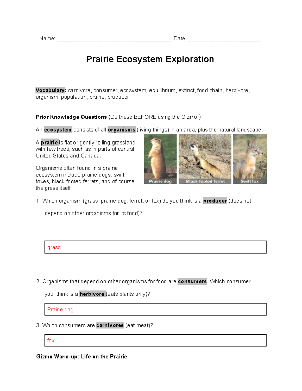 Prairie Ecosystem Exploration: Gizmo Answer Key and Analysis - Studocu