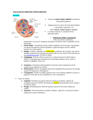 9. Membranas internas 1 @ie diinha - UNLP - Biologia - EUCARIOTAS ...