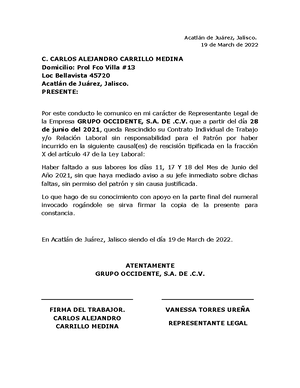 ACTA Constitutiva DE LA Comision Mixta RIT - Formato sugerido de Acta ...