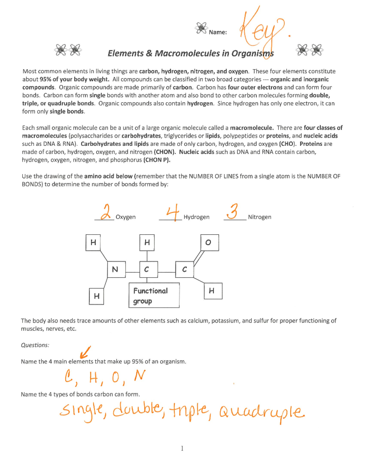 Elements Found in Living Things version 2 Answers - Name: Key Elements ...