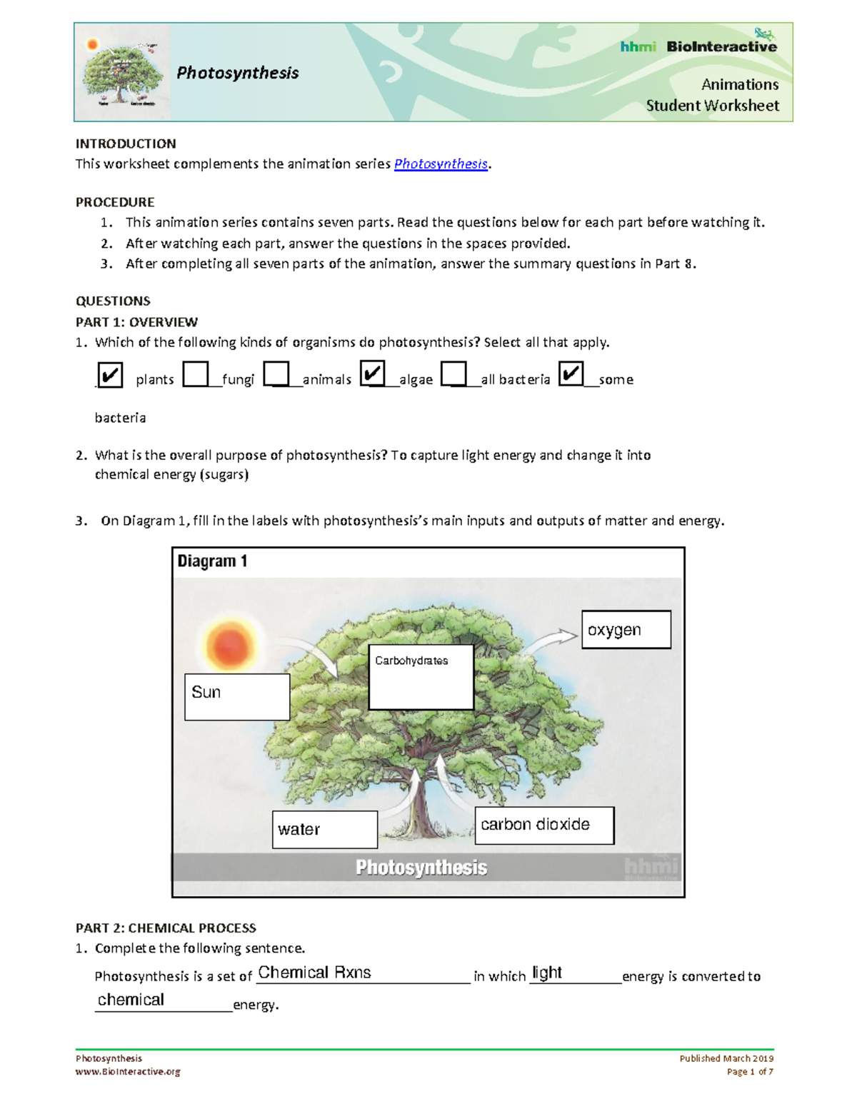 HHMI Photosynthesis Student Worksheet and Answer Key - Studocu