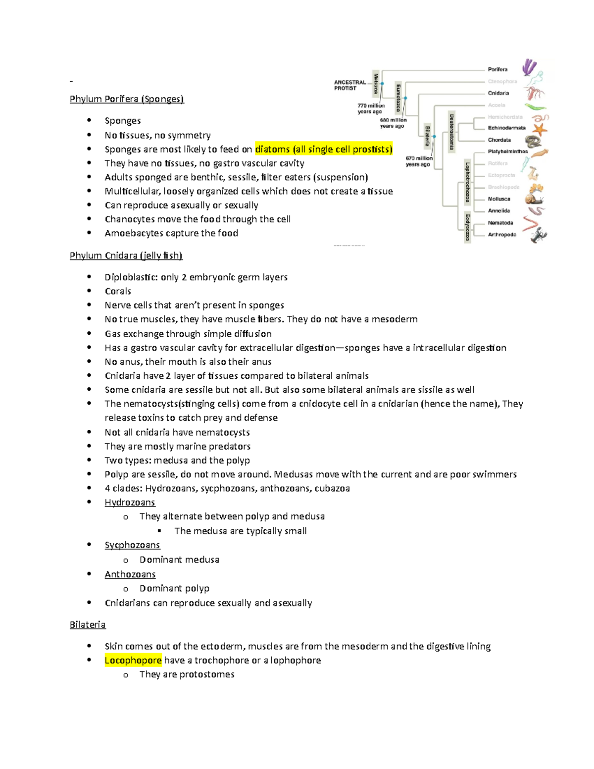 BIO- Invertebrates - Detailed Lecture Notes (Chapters 32-34) - Studocu