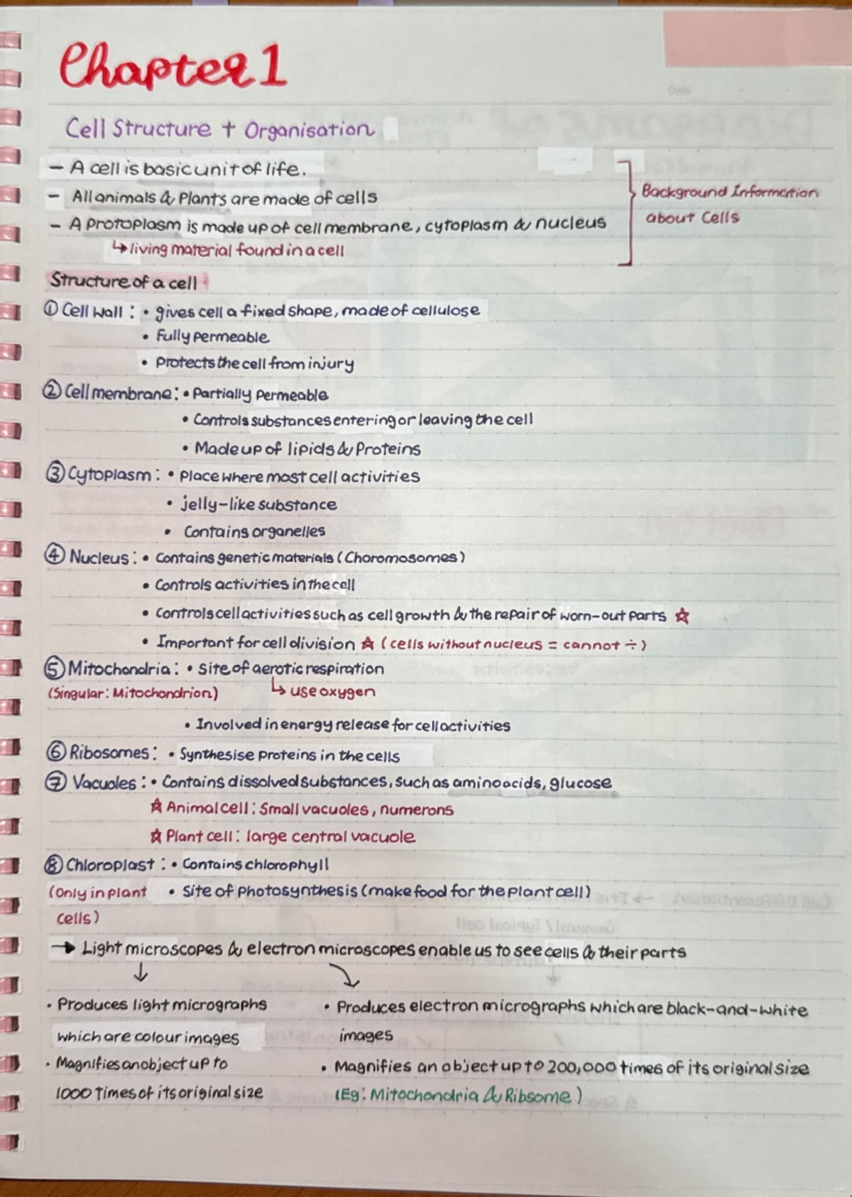 Sec 3NA Bio Notes - Chapter 1: Cell Structure and Function - Studocu