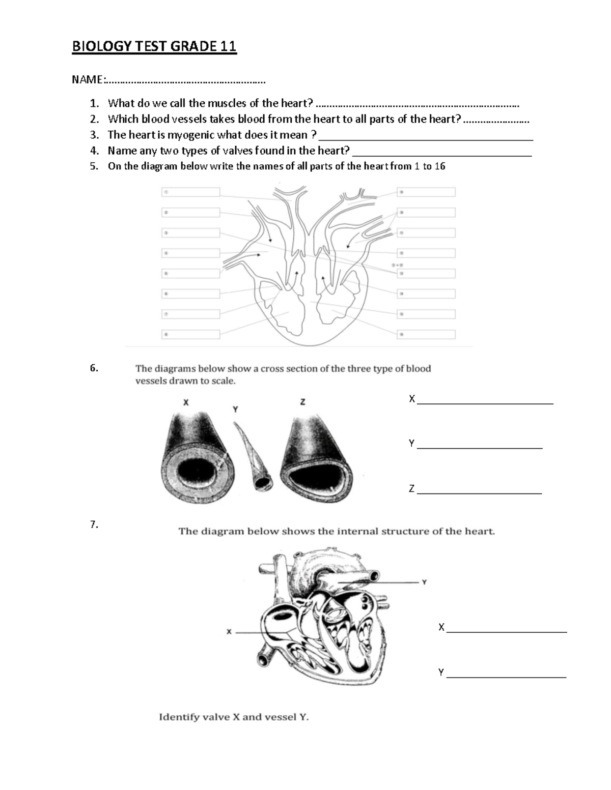Biology Grade 11 TEST PDF - BIOLOGY TEST GRADE 11 - Studocu