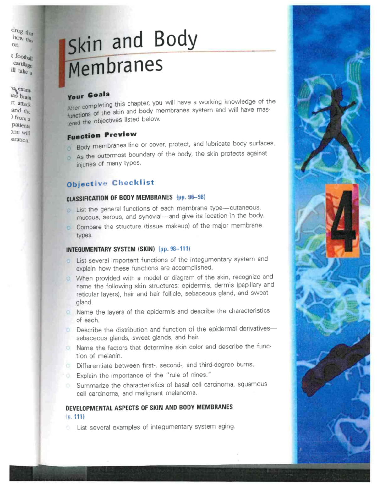 Chapter 4: Skin and Body Membranes Overview (BIO 101) - Studocu