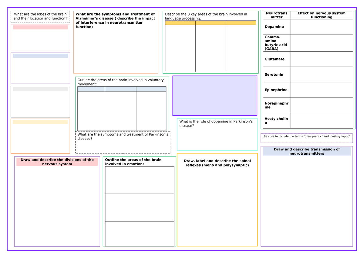 Graphic Organizer: Unit 3 - Topic 1 - Brain Lobes & Functions - Studocu