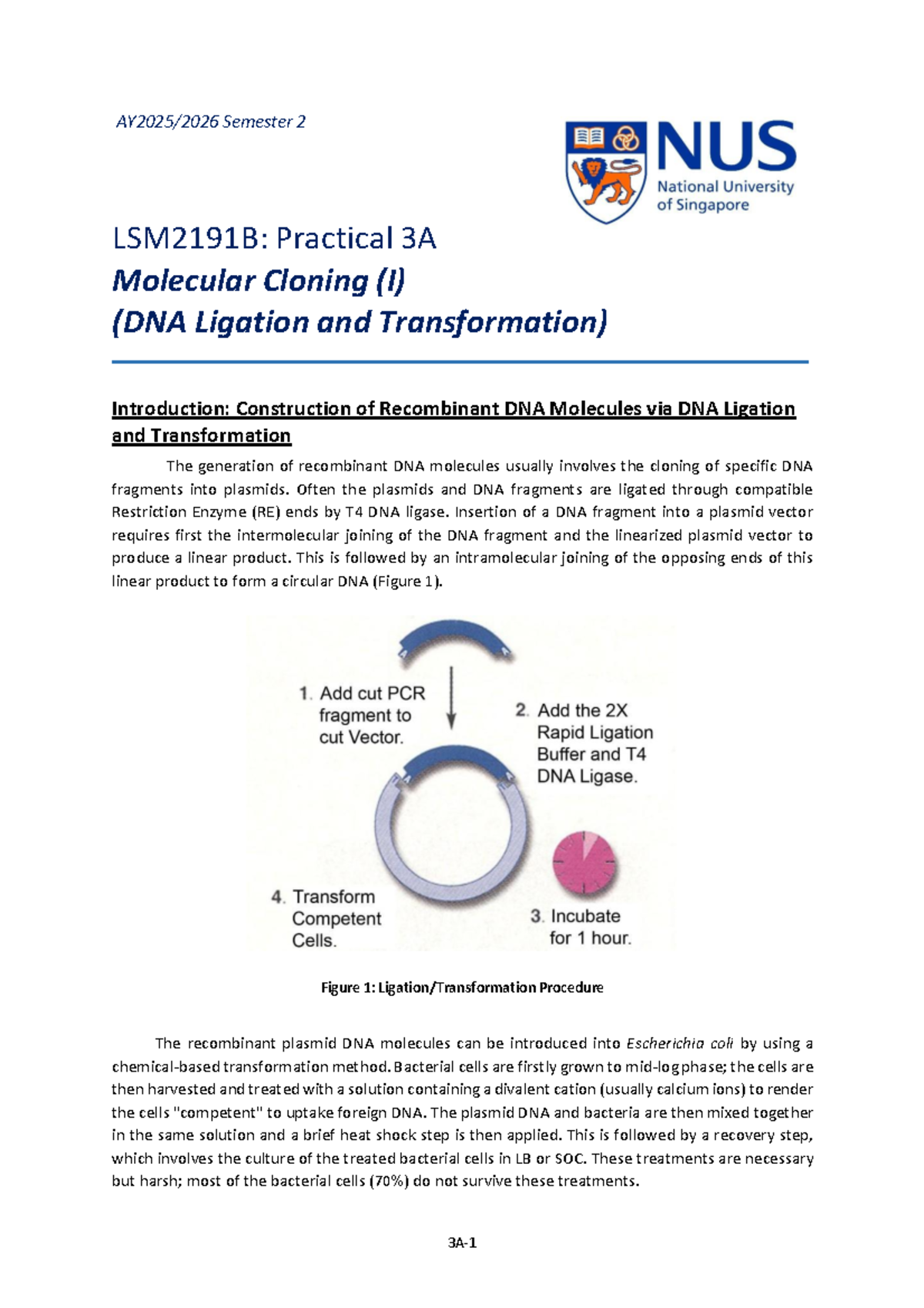 LSM2191B: Practical 3A - Molecular Cloning (DNA Ligation ...