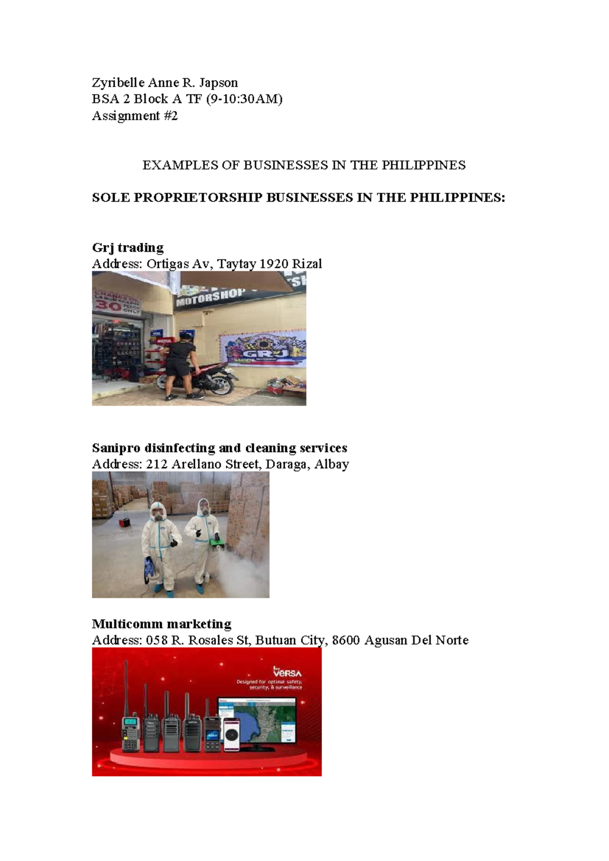 Business Logic Assignment: Examples of Businesses in the Philippines ...