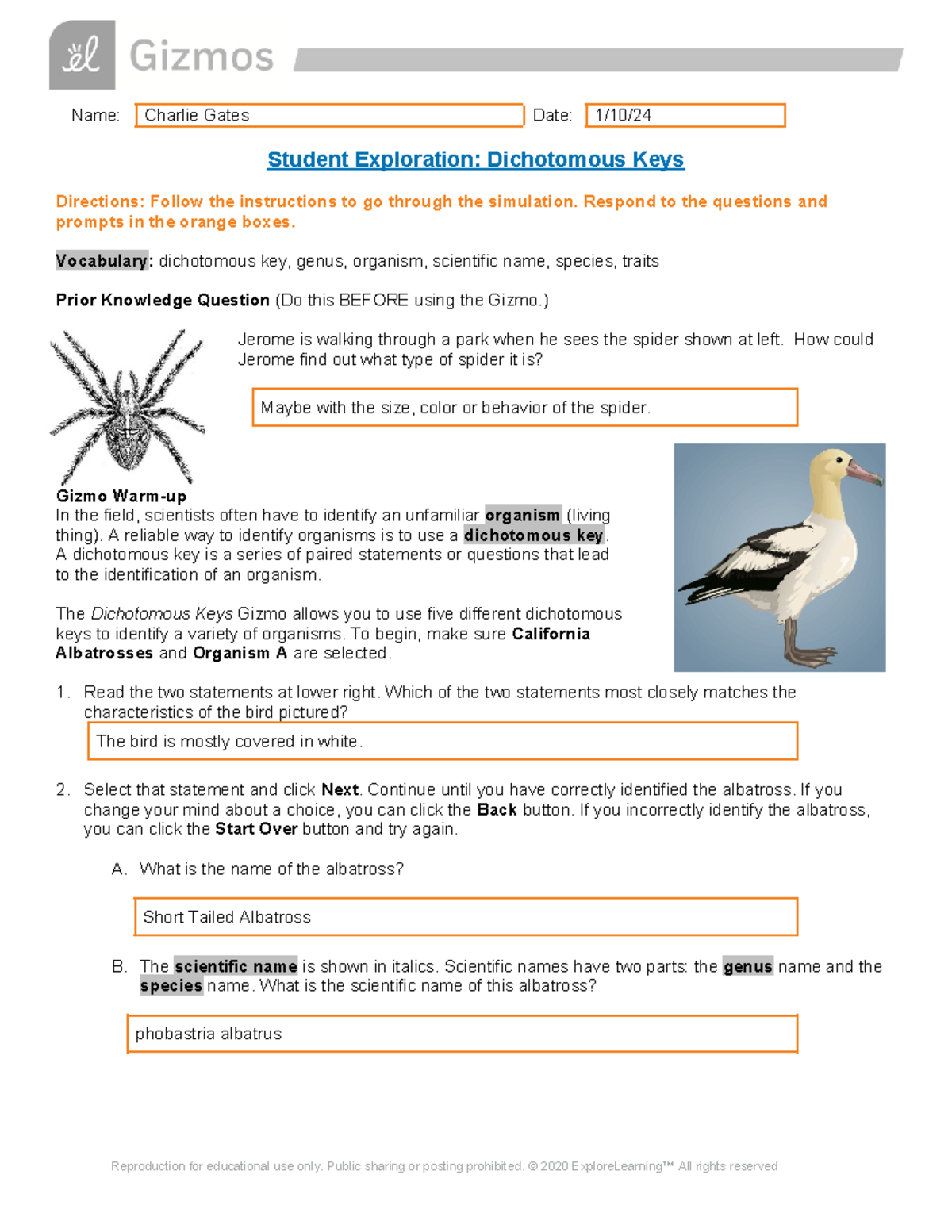 Charlie Gates - Dichotomous Key Gizmo A and B - Name: Charlie Gates ...