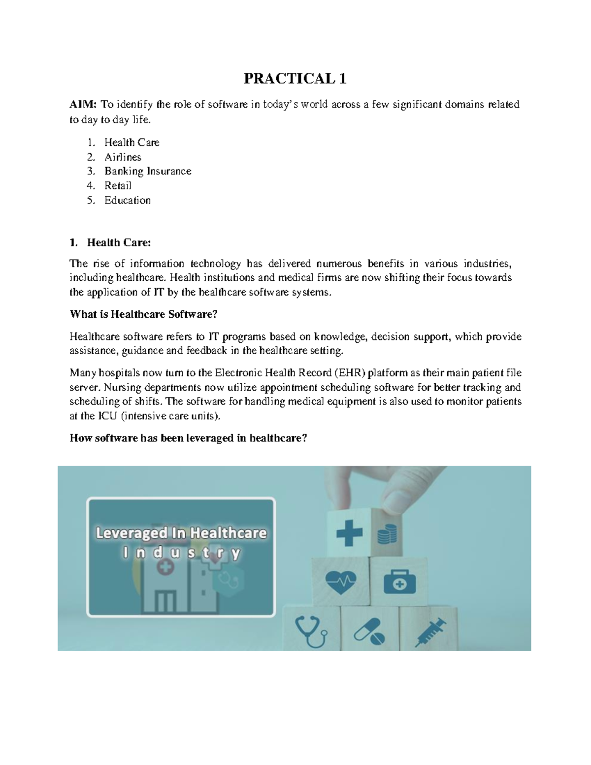 SVVT Practical File: Examining Software's Role in Various Industries ...