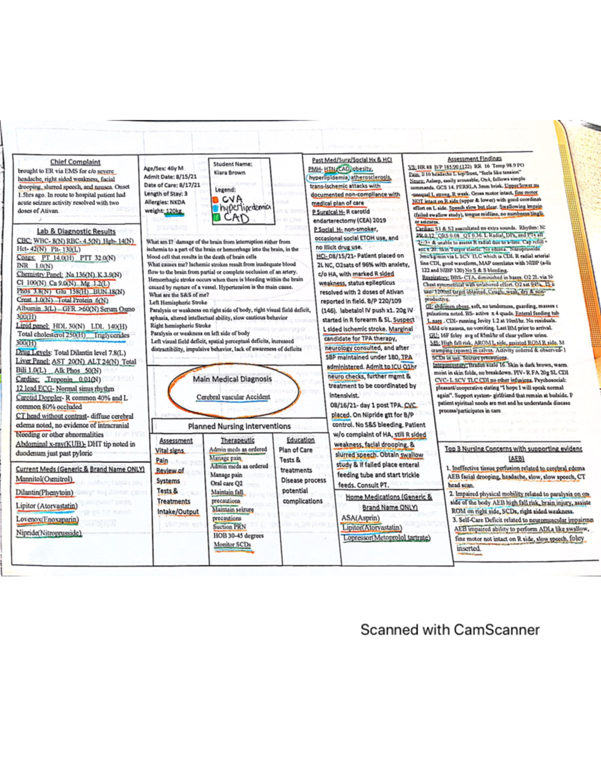 CVA Concept Map: Detailed Assessment & Nursing Care Plan for Stroke ...