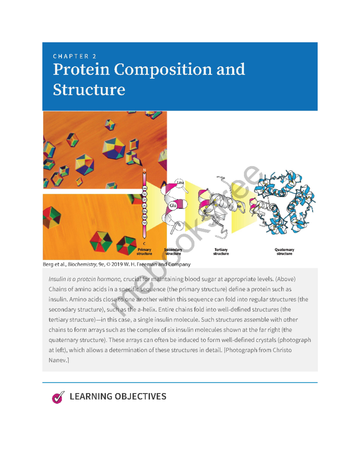 Biochemistry 9e: Chapter 2 - Proteins and Their Structures - Studocu